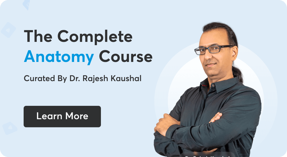 NEET PG Anatomy High Yield Topics For Toppers