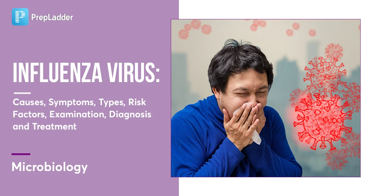 Influenza Causes
