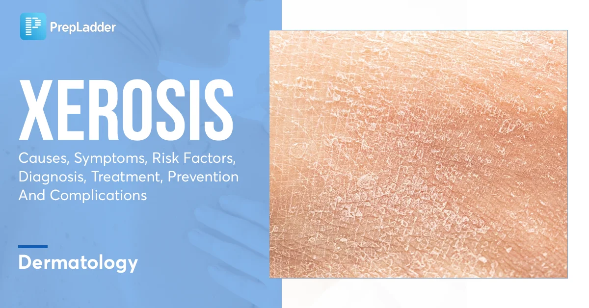 Xerosis Dry Skin Xeroderma Causes Treatments And More DermNet Xerosis Dry Skin Xeroderma Causes Treatments And More DermNet