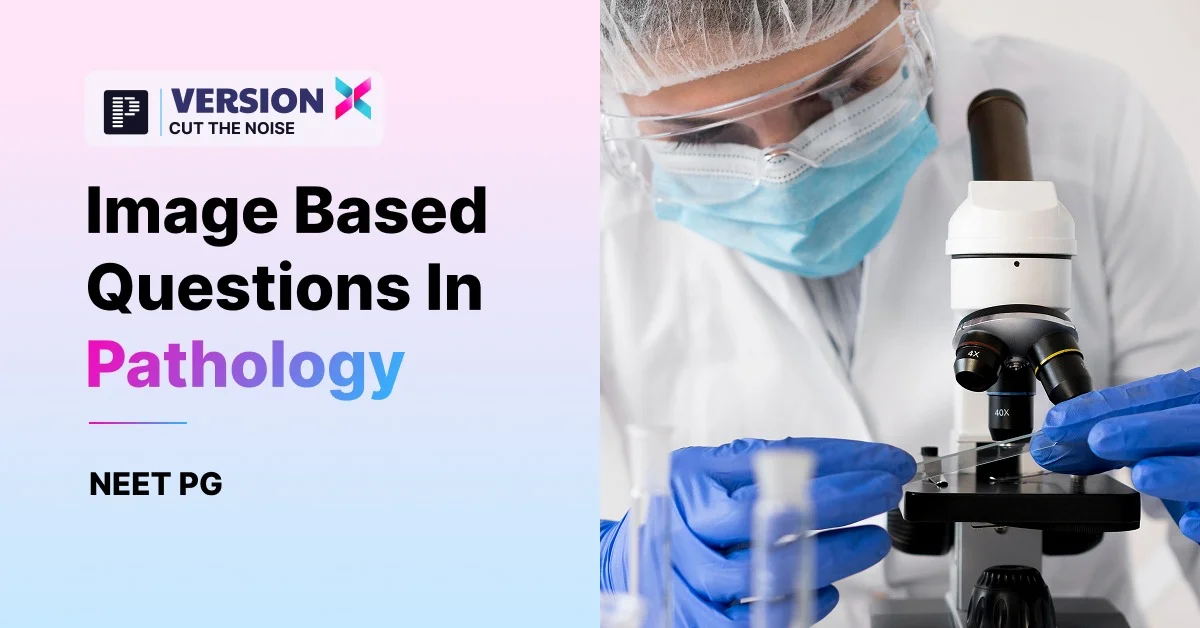 Image Based Pathology Questions for NEET PG Exam