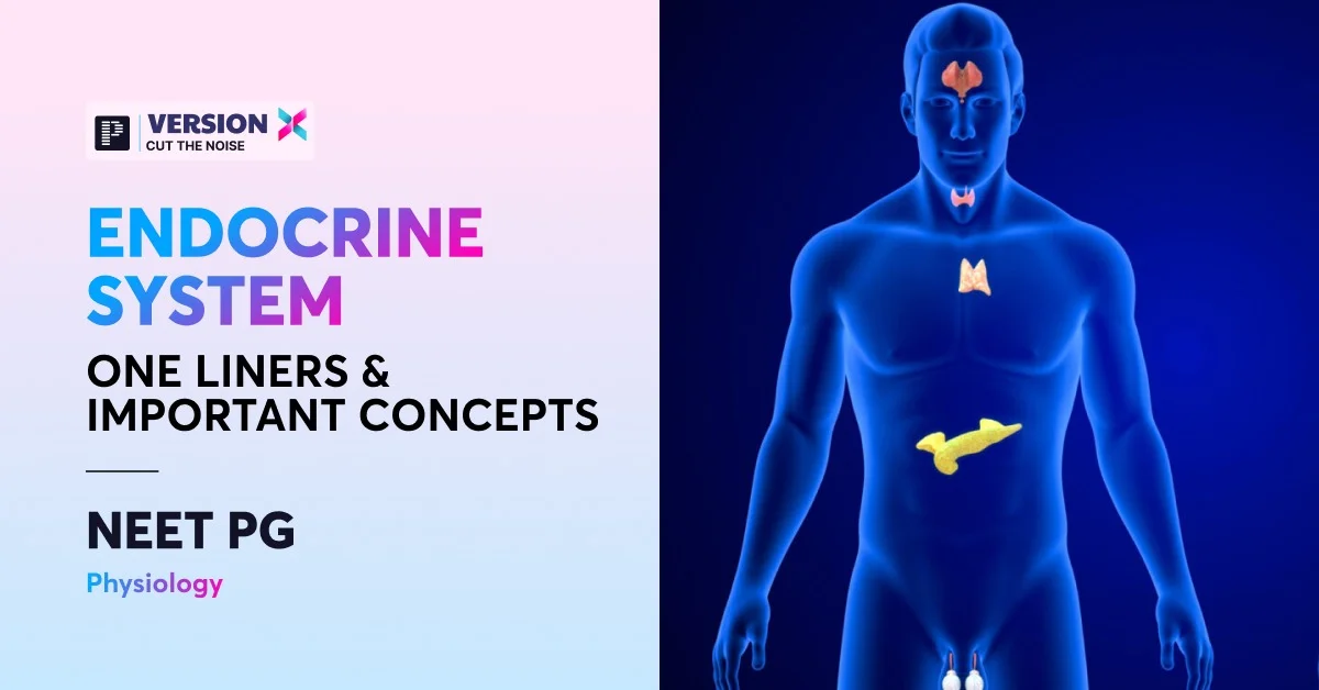 Endocrine System Physiology One Liners and Key Concepts